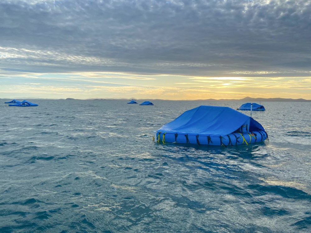 Partner portal | SECORE